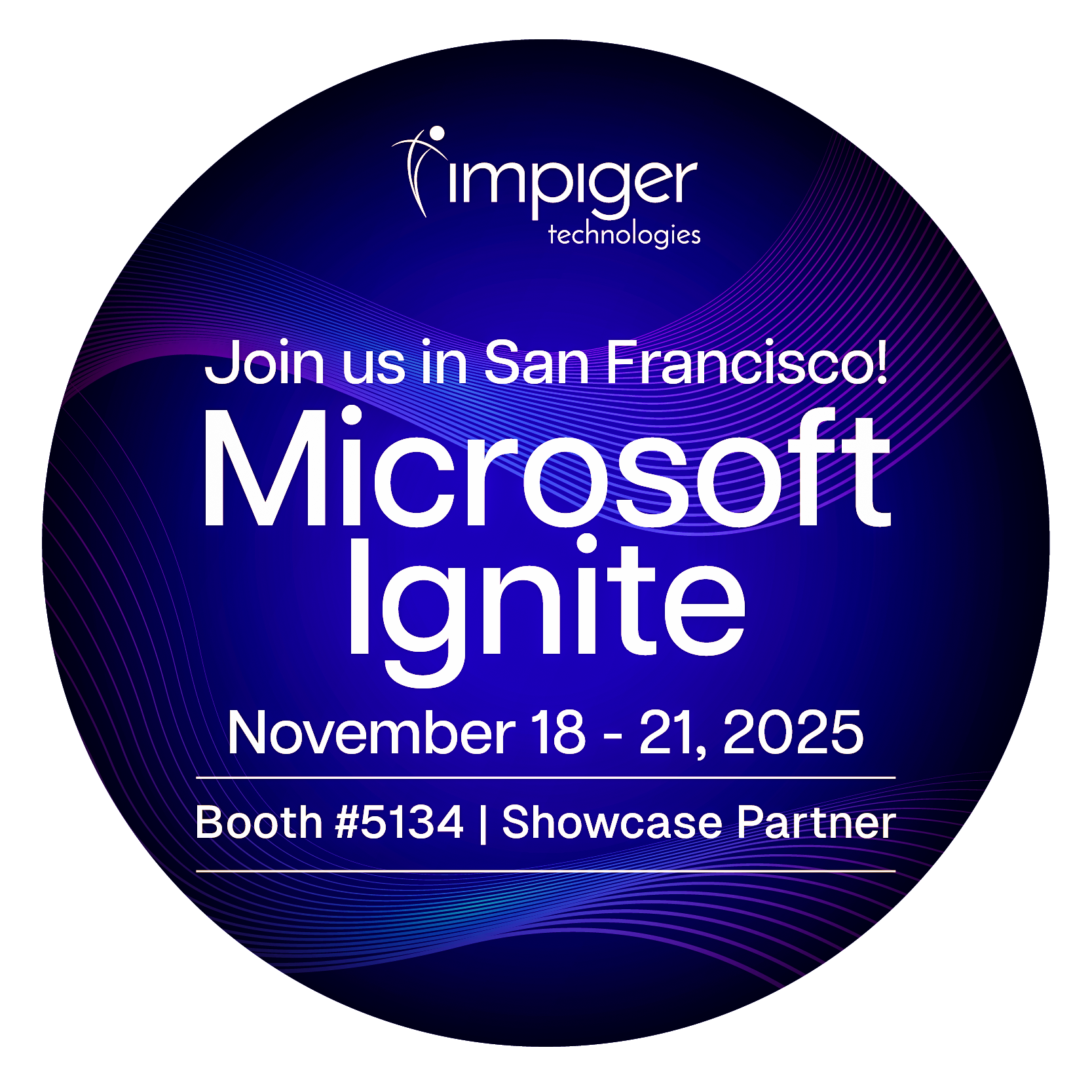 Leading Enterprise Technology Services | Impiger Technologies